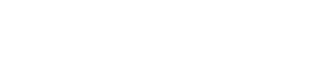 Het BSR™ Model - Leefstijlvinder